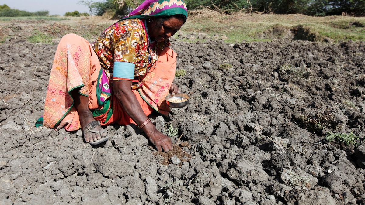 Climate Change Will Change How We Grow Food | National Geographic
