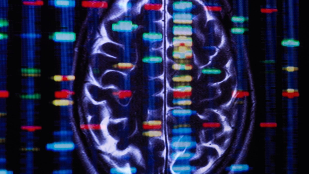 Can trauma be inherited through genes? | National Geographic