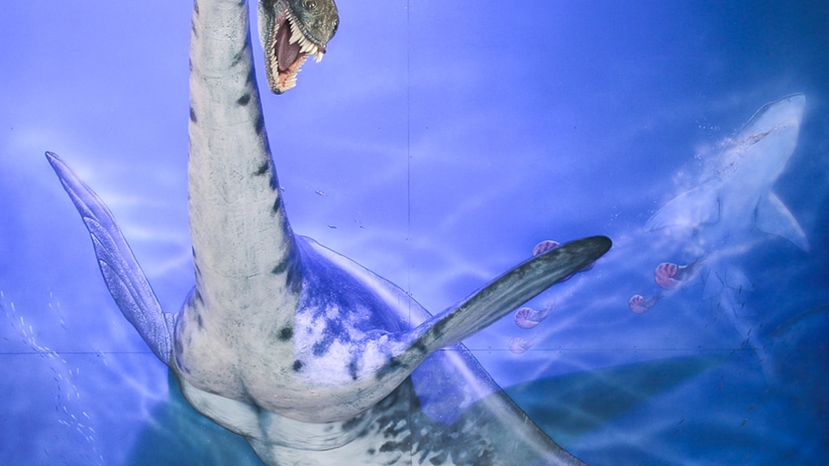 Oldest Antarctic "Sea Monster" Found | National Geographic