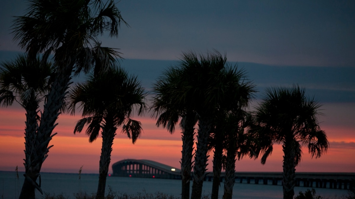 Florida by Land: Take a Wild Drive -- National Geographic | National ...