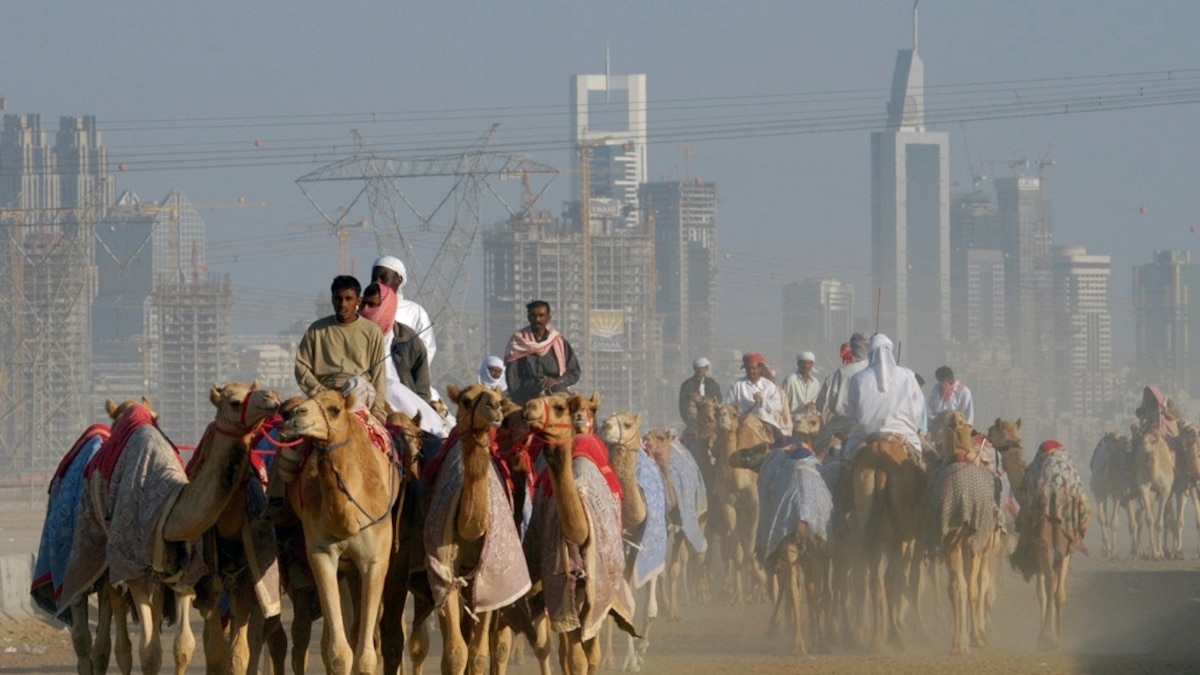 Dubai City Life Photos -- National Geographic's Ultimate City Guides ...