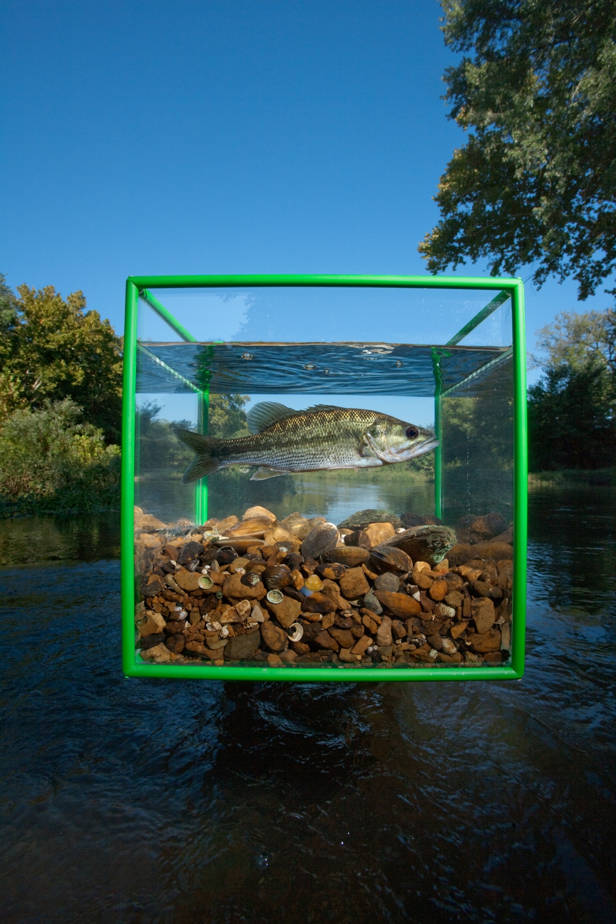 Life Within One Cubic Foot