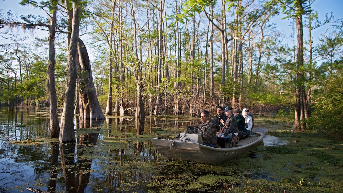 10 Outdoor Adventures to Do in Louisiana Now | National Geographic