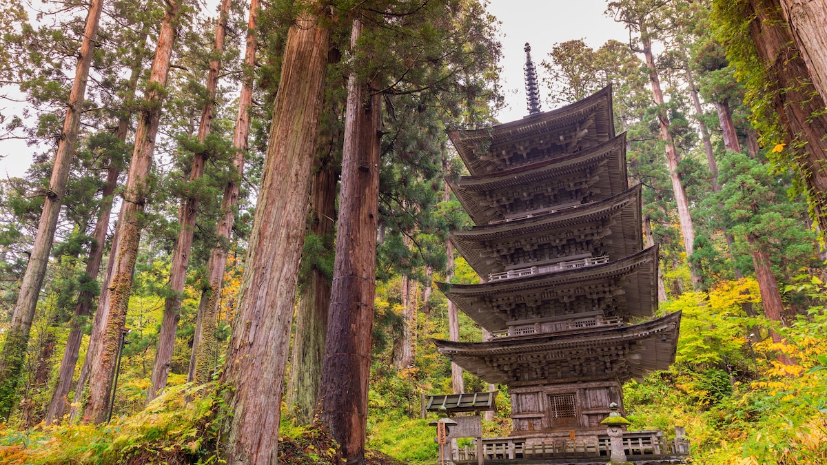Encountering the '5 elements' in Japan's national parks