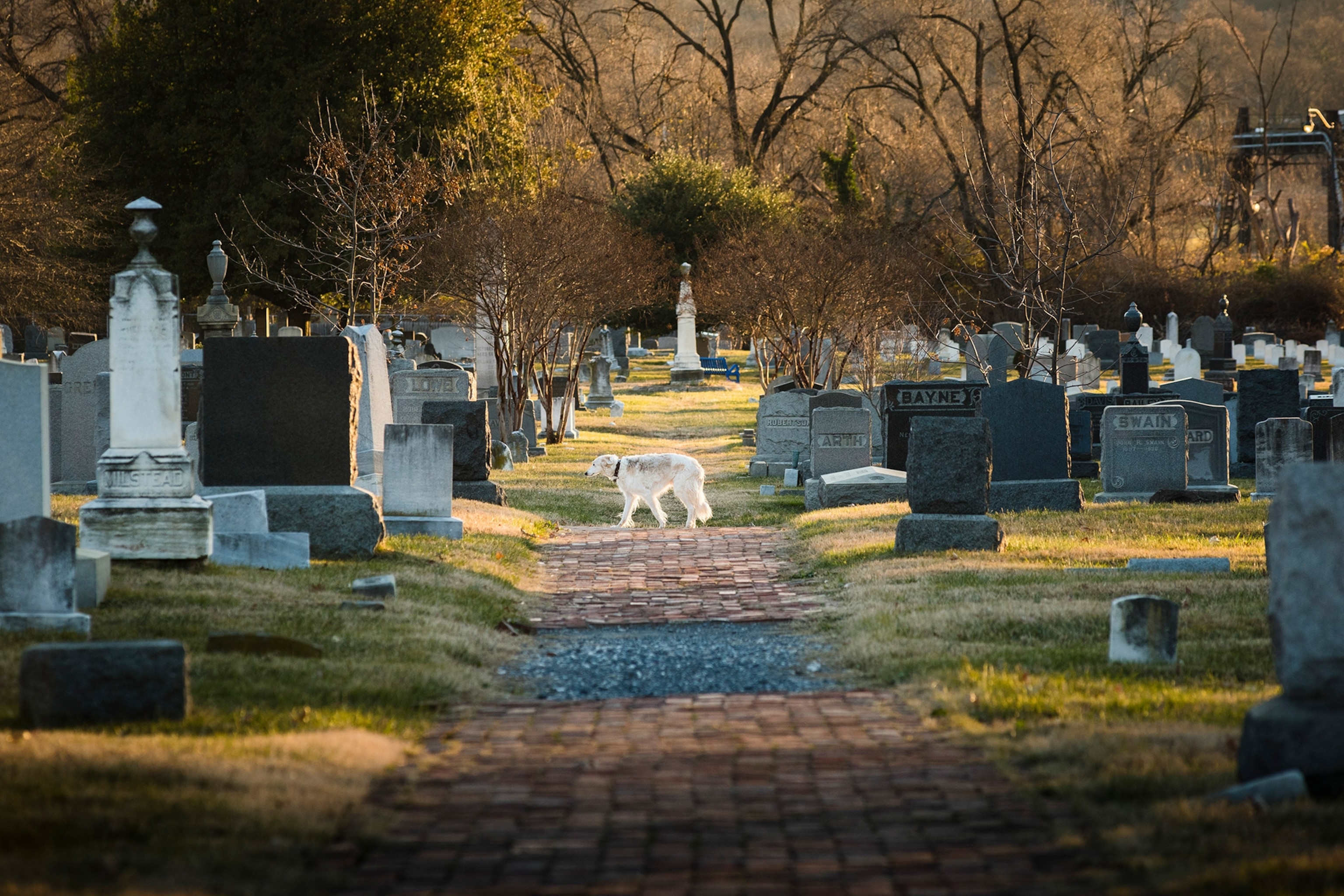 7 cemeteries with amazing views