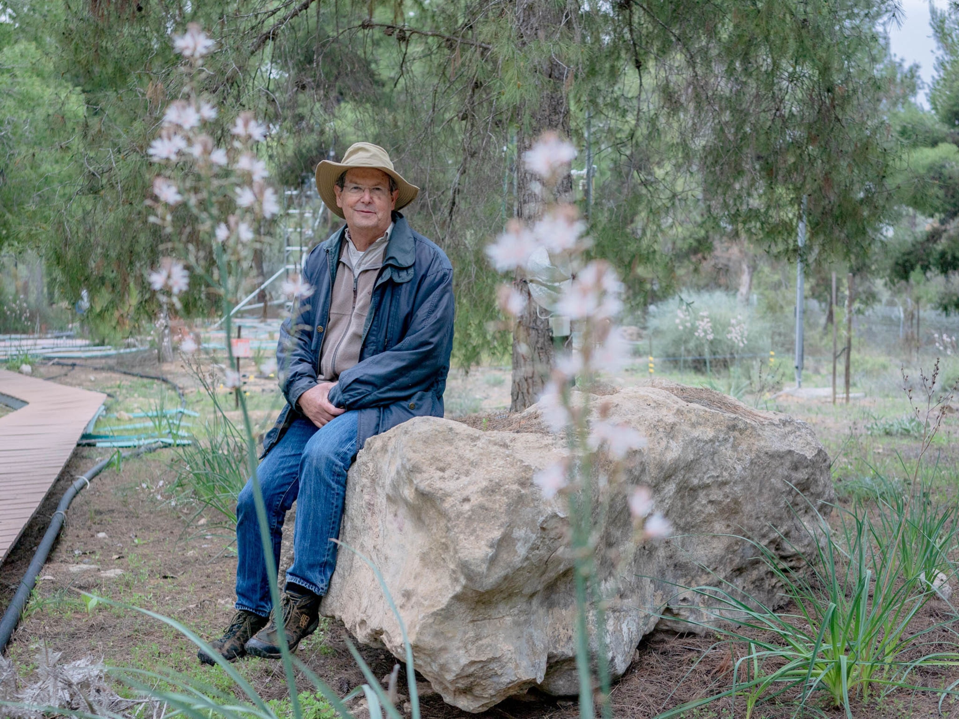 They planted a forest at the edge of the desert. From there it got ...