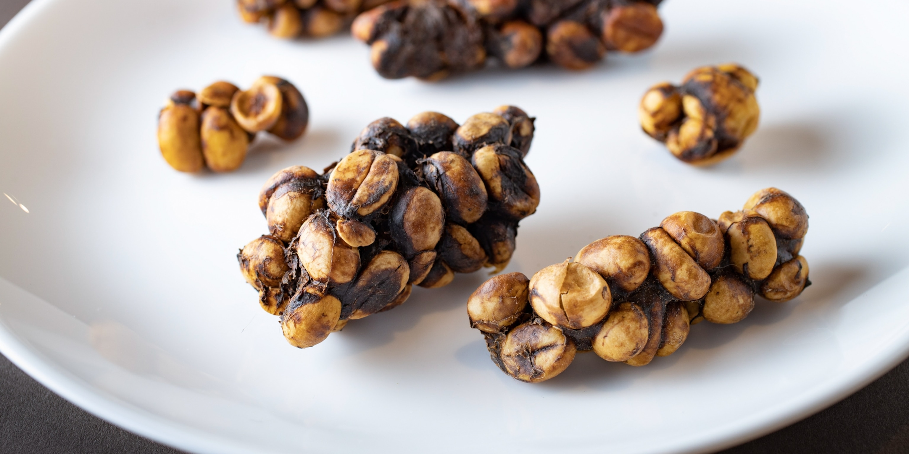 Bird Poop Coffee Why Coffee Pooped Out Of A Brazilian Bird Sells For
