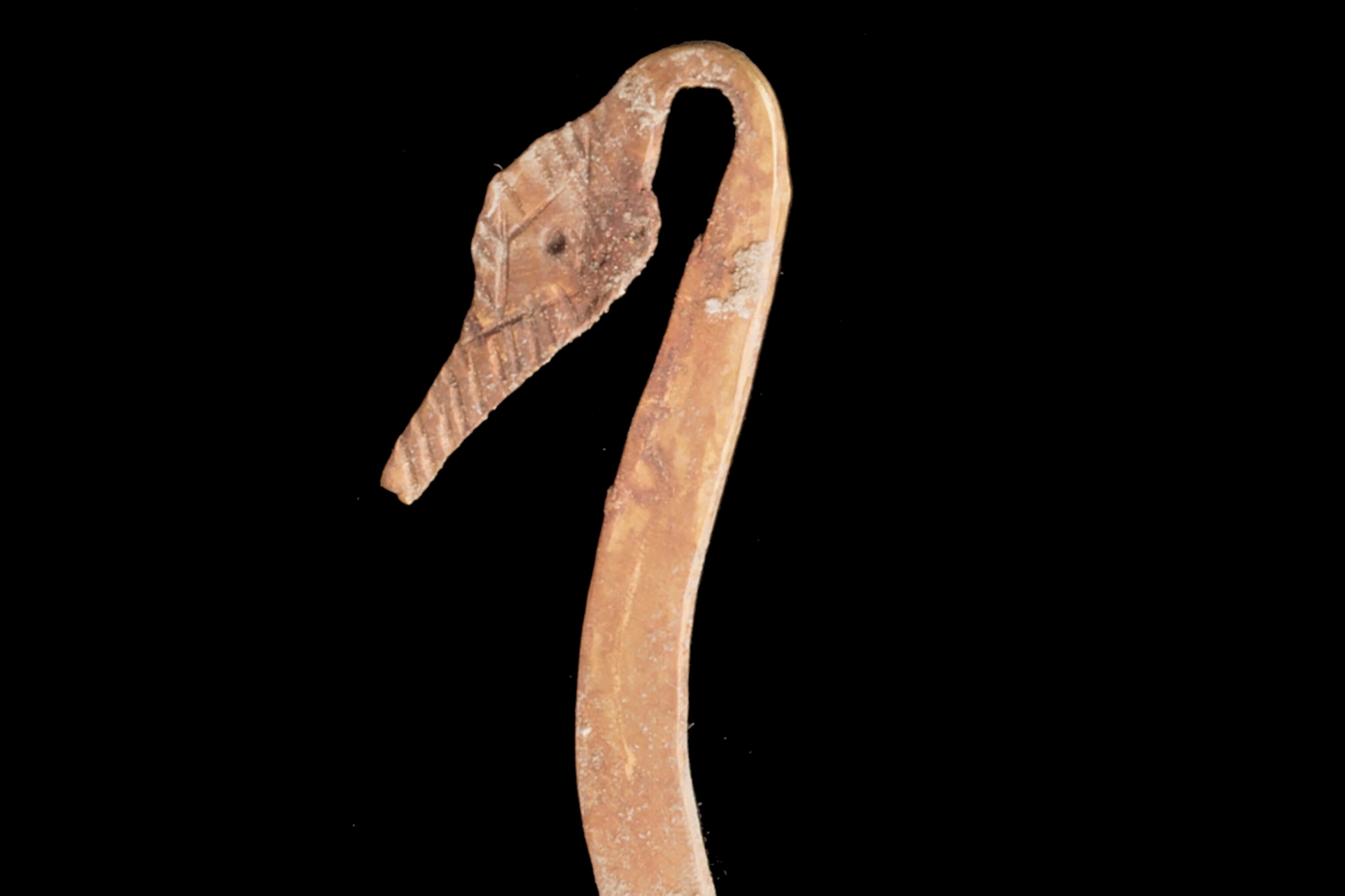 Untouched Canaanite Royal Burial in Megiddo Stuns Archaeologists