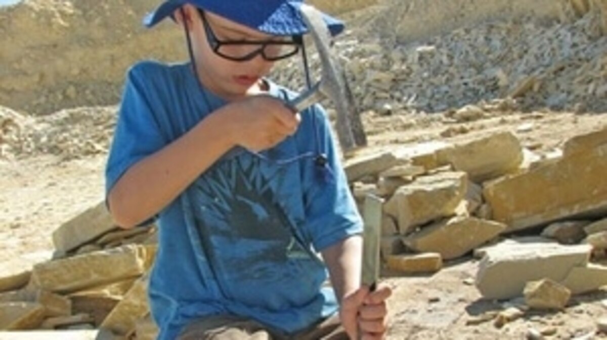 Dig Your Own Fossils