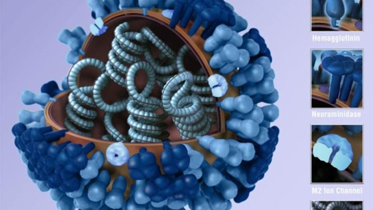 New flu gene found hiding in plain sight, and affects severity of ...