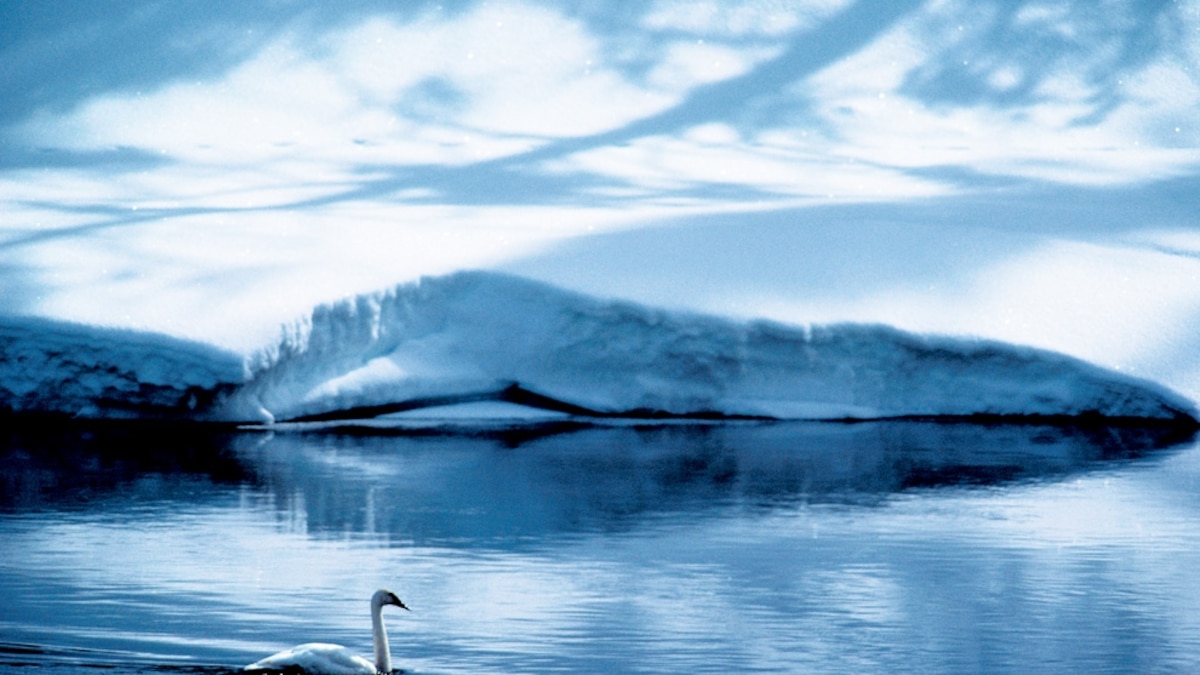 Simply Beautiful Photographs, Tips on Using Palette and Color, Gallery ...