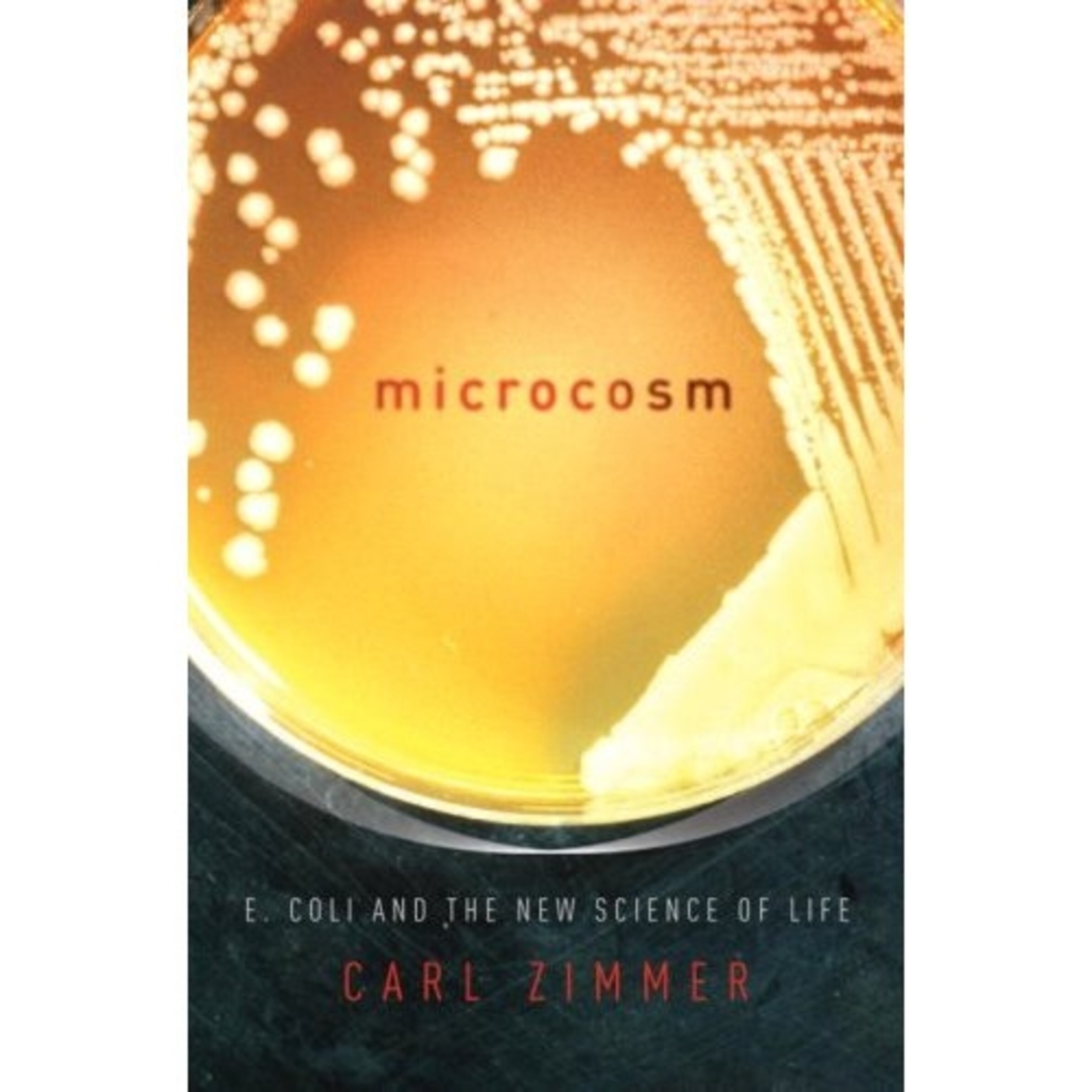 Microcosm: Unveiling the New Book (Or At Least Its Cover)
