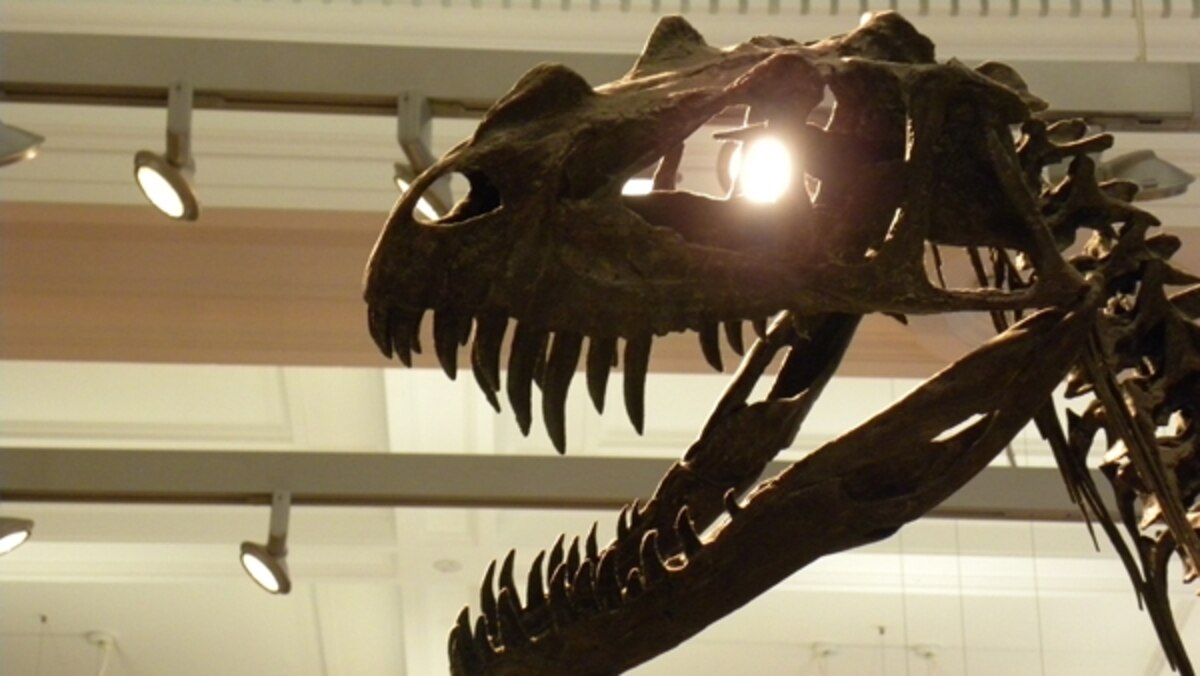 Terminatorsaurus