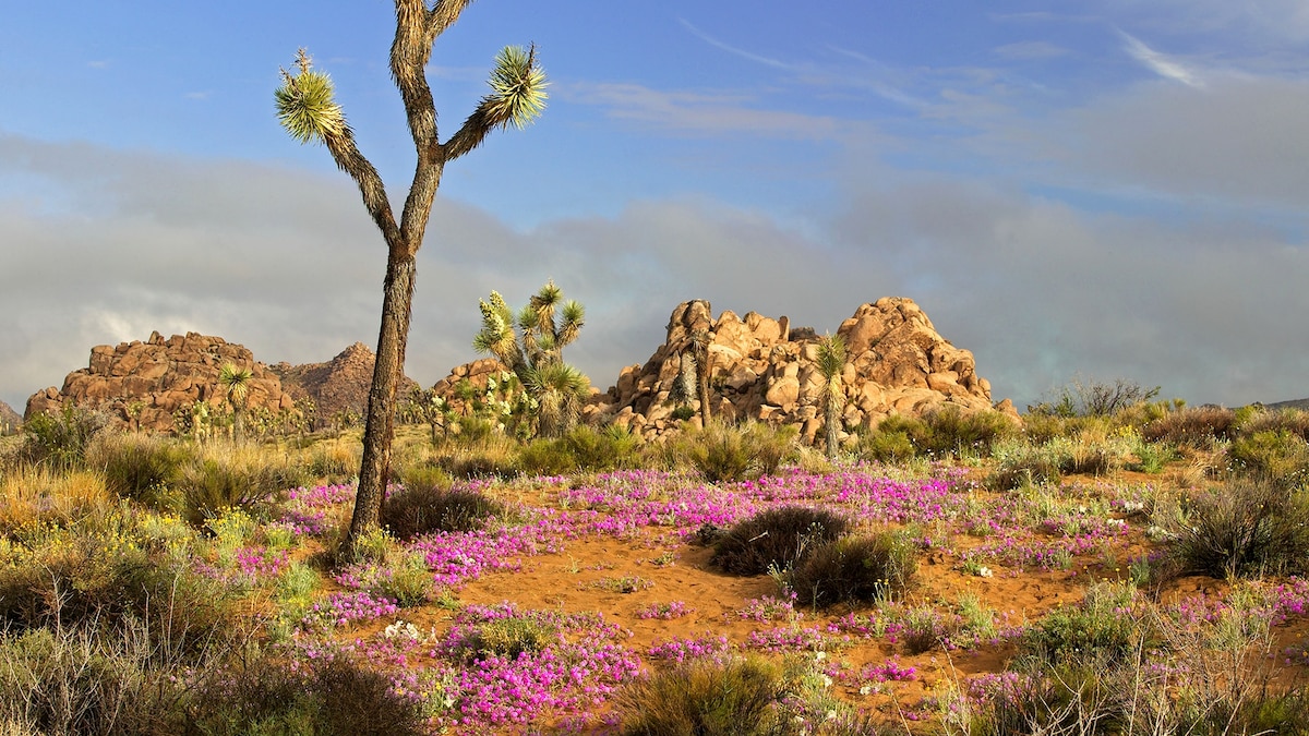 Best Spring Trips 2015 -- National Geographic | National Geographic