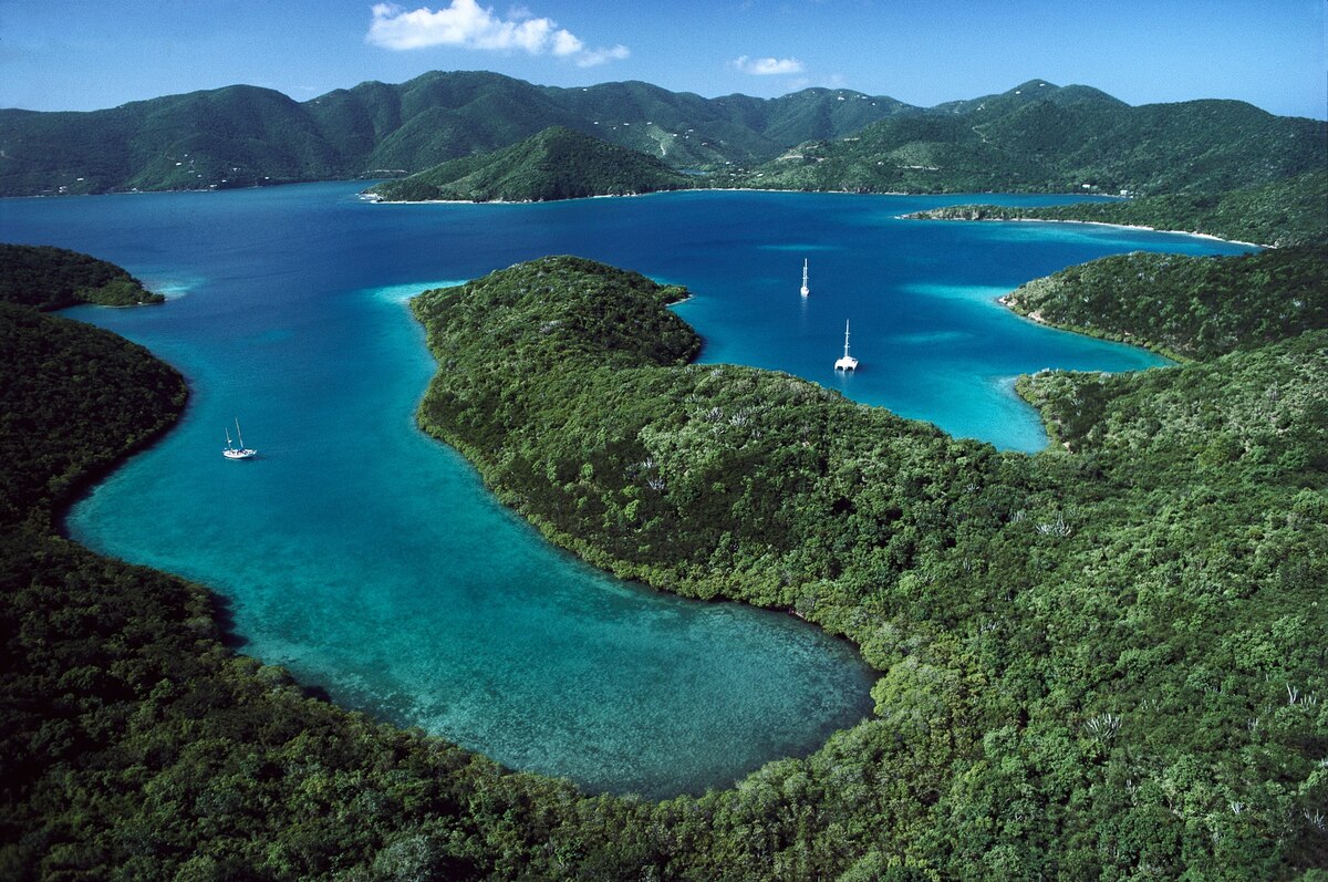 To Save Coral Reefs, First Save the Mangroves