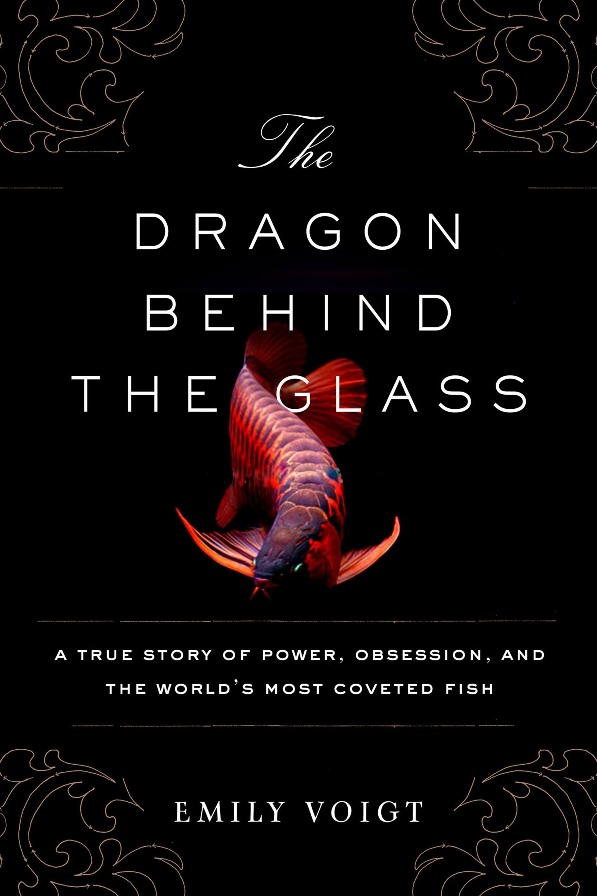 Learn About Arowana, or Dragon Fish, From Emily Voigt's Book