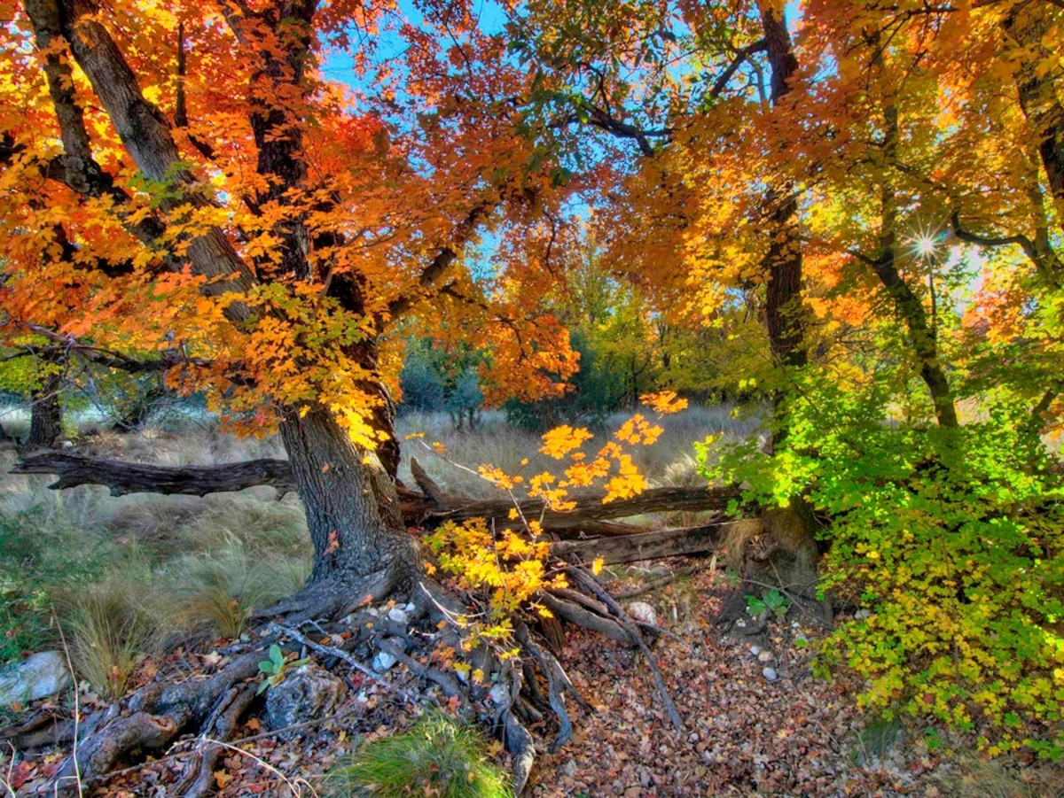 How To Take HDR Pictures Photo Gallery National Geographic how-to-take-hdr-pictures-photo-gallery-national-geographic