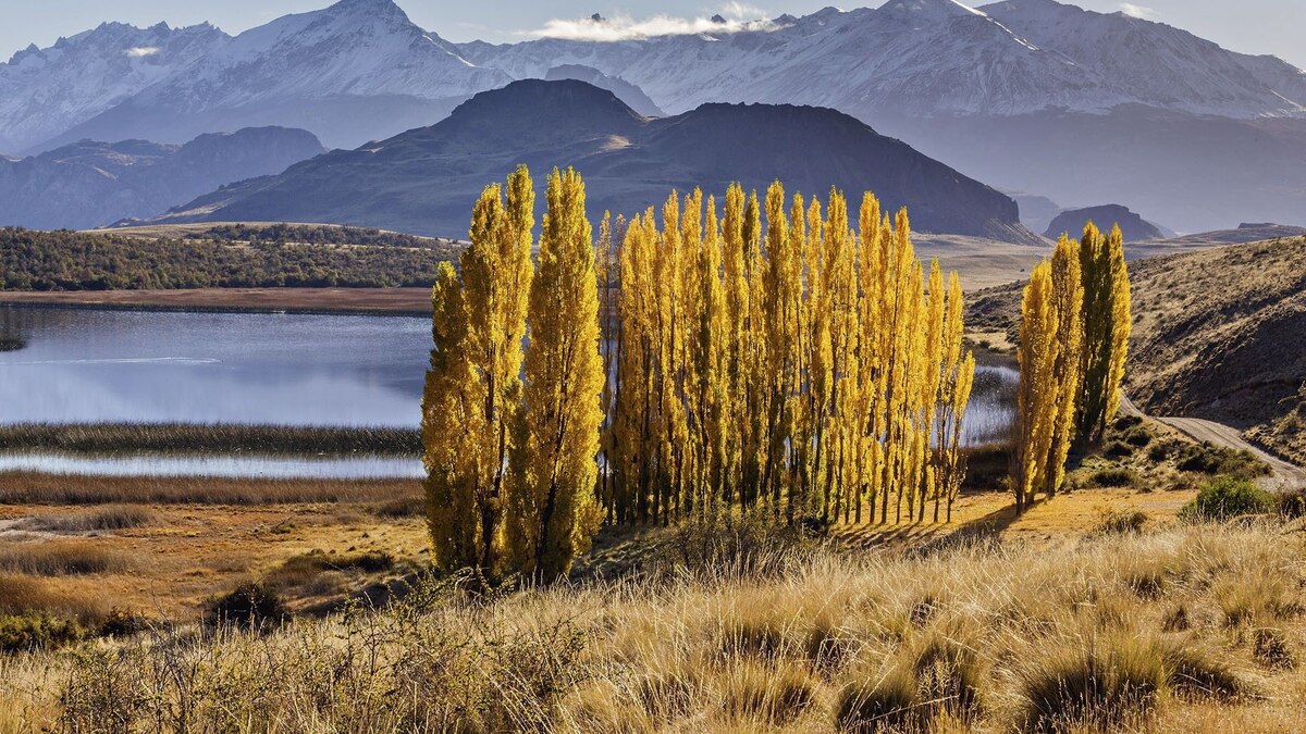 A road trip on Chile's wild new Route of Parks | National Geographic