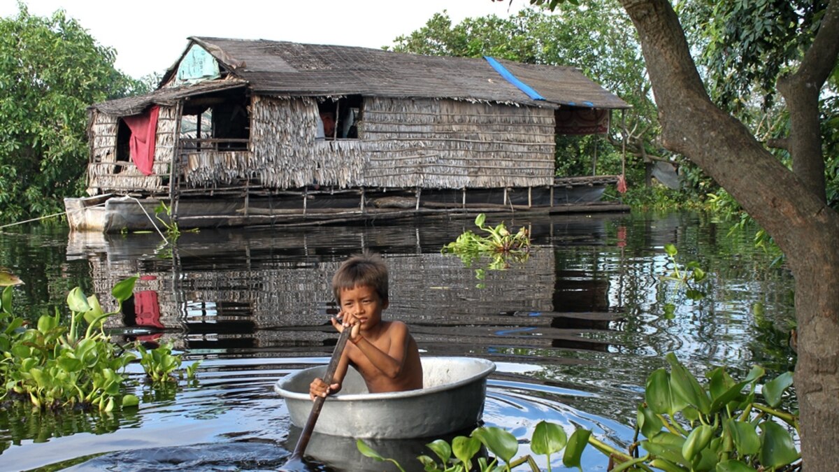 Pictures: 10 Most Threatened Forest Hot Spots Named | National Geographic