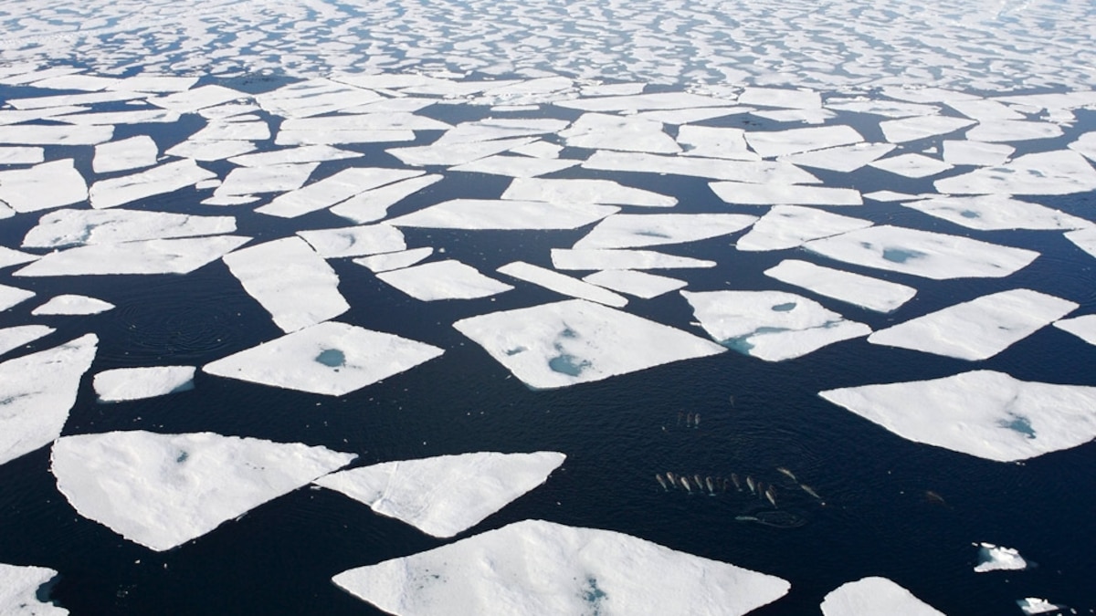 Arctic Climate Change Photos, Arctic Wallpapers, national geographic ...