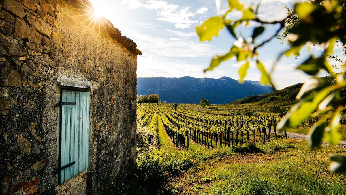 How to make the most of Slovenia’s Vipava Valley, from wine tasting to ...