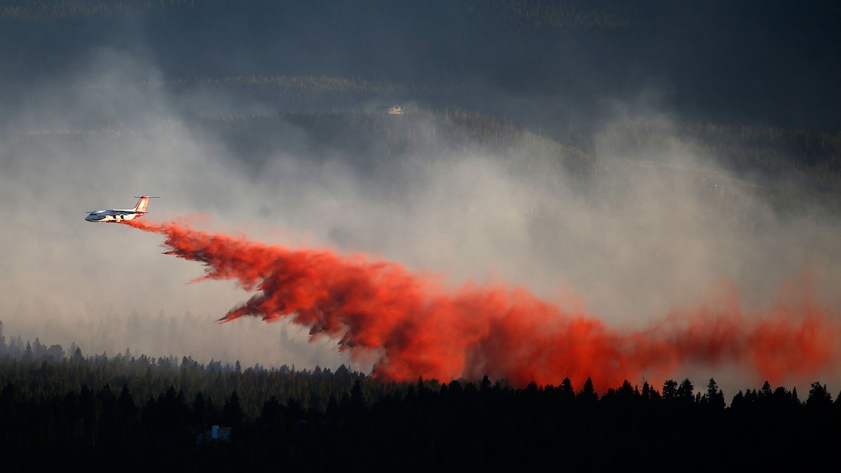 Did a Careless Campfire Blow Up Into a Threatening Blaze? | National ...