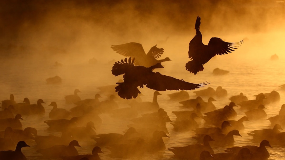 Nature Photos, Wildlife Pictures, Landscape Wallpapers -- National ...