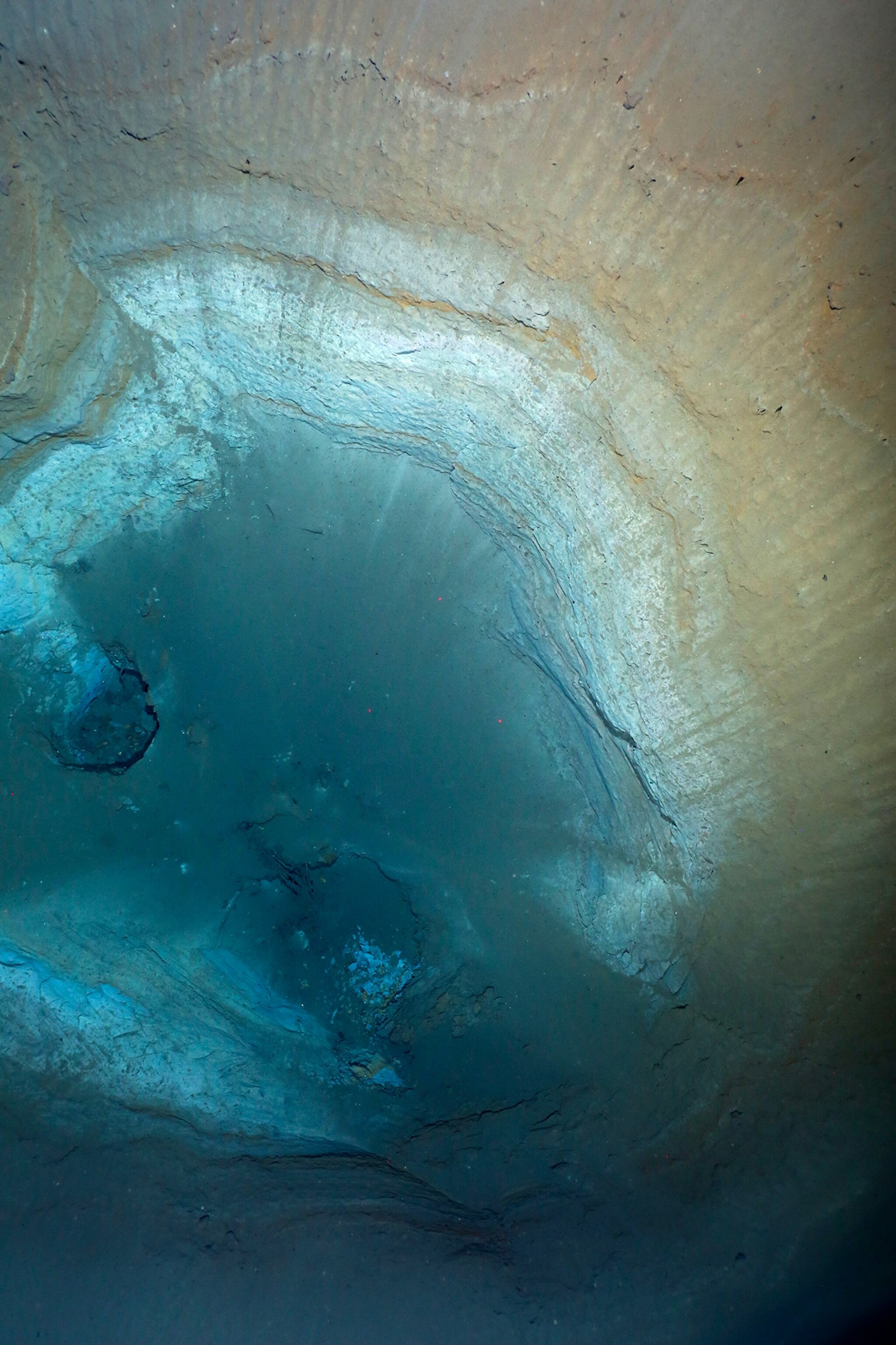 If alien life exists in our solar system, it may look like this