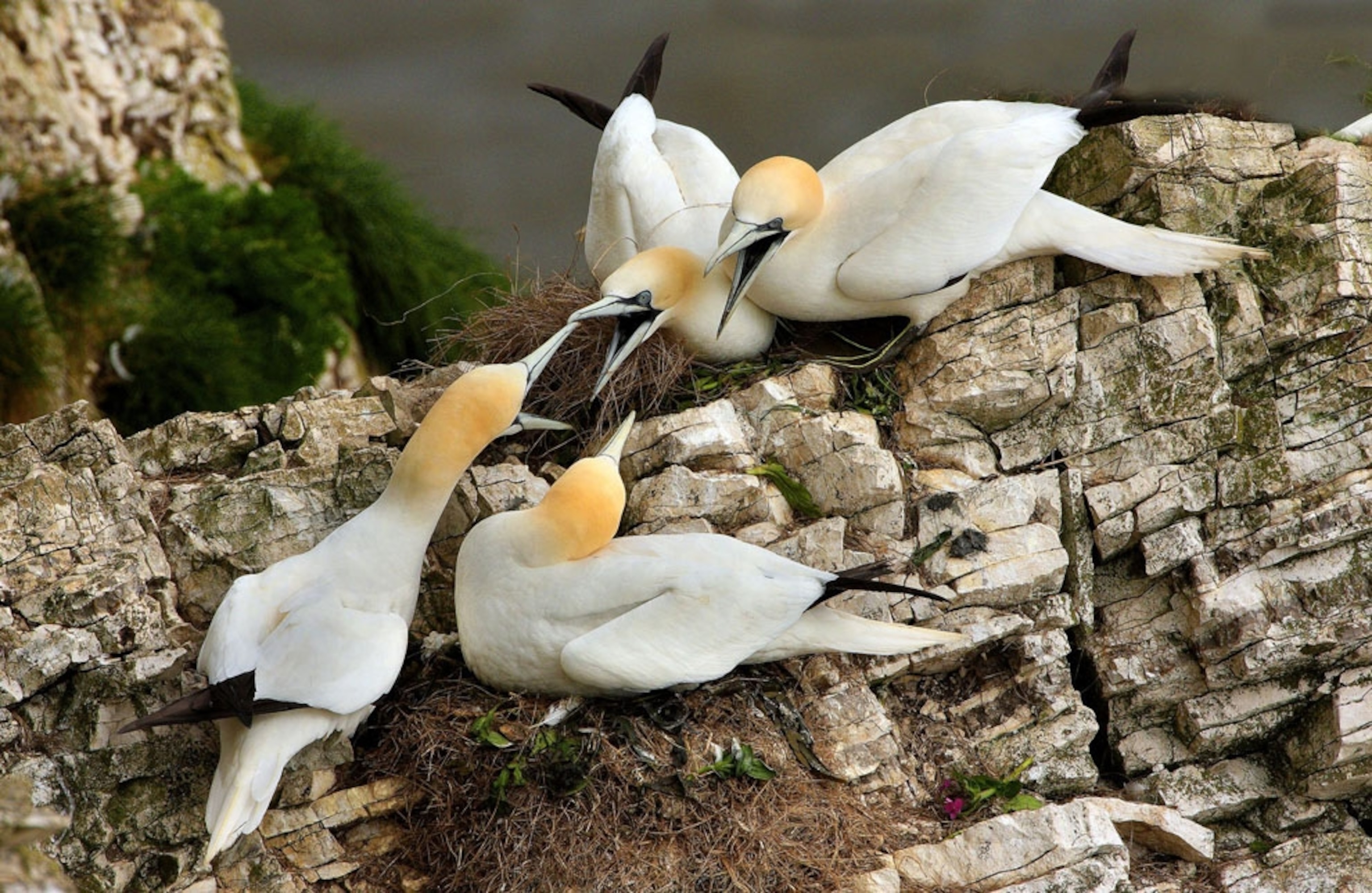 Your England Photos -- National Geographic | National Geographic