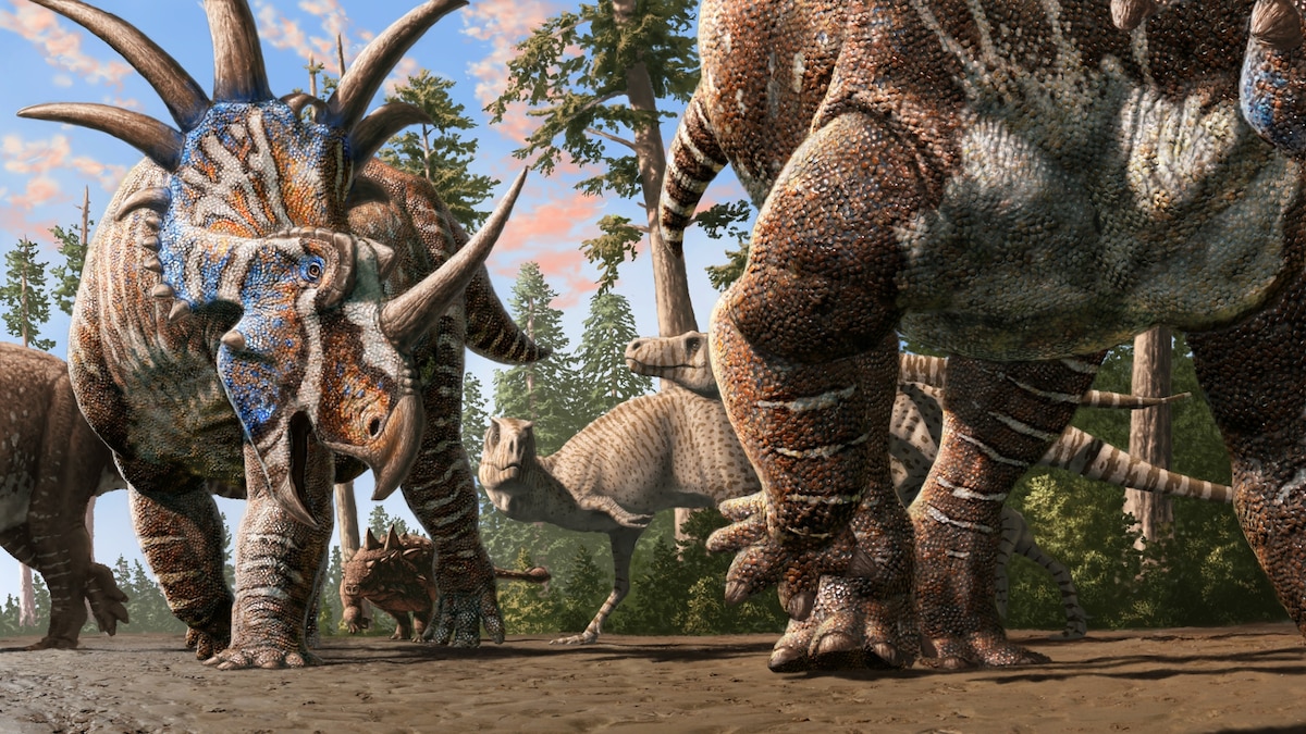 Different dinosaur species may have really traveled together like in ...