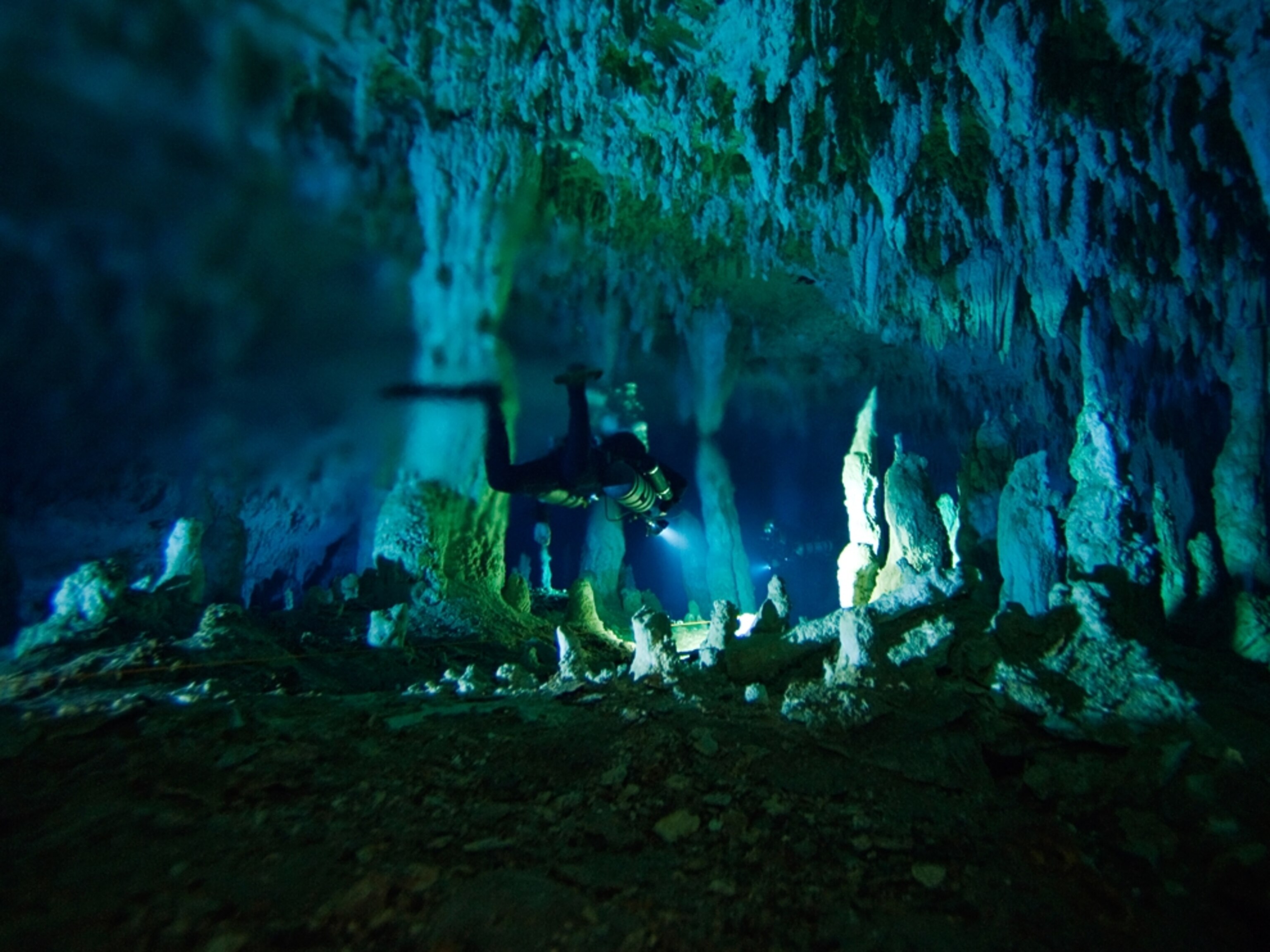 Top Expedition Photos -- National Geographic