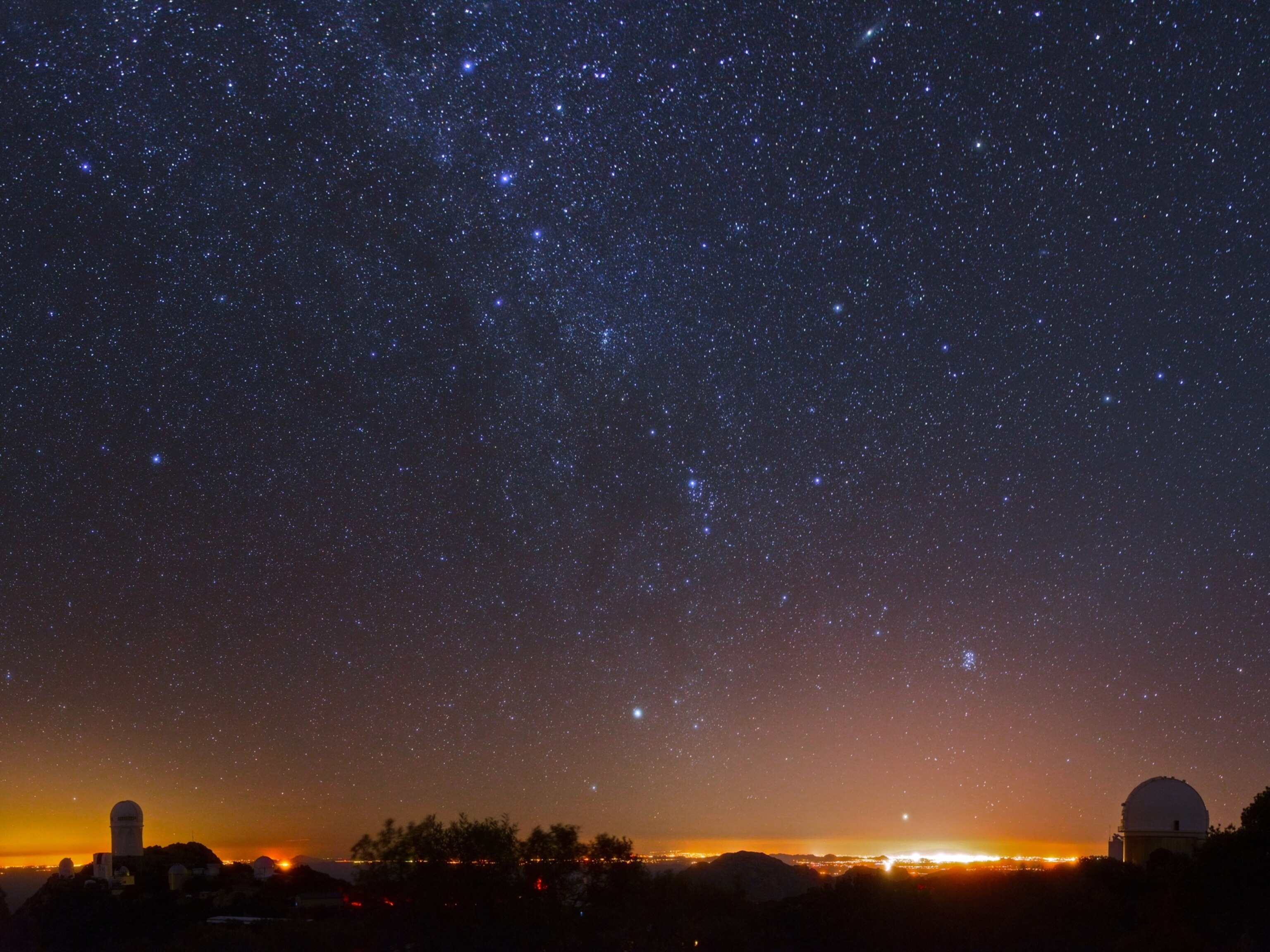 Want to help wildlife? Turn off your lights.