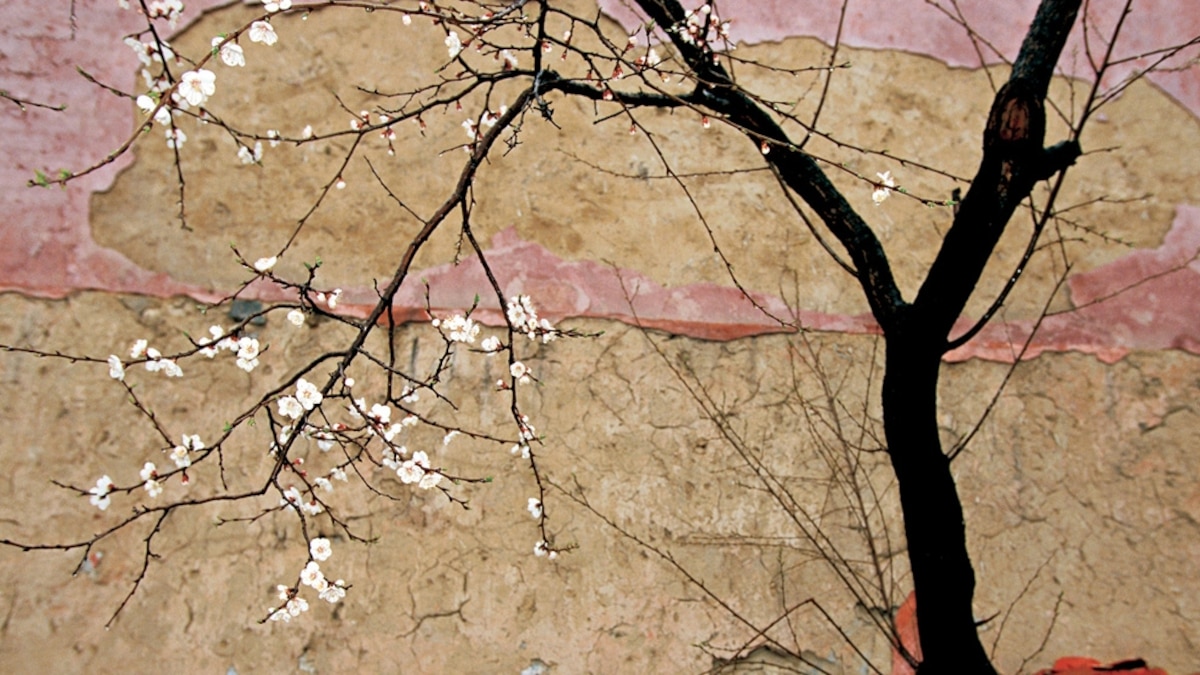 Simply Beautiful Photographs, Tips on Composing Photographs, Gallery ...