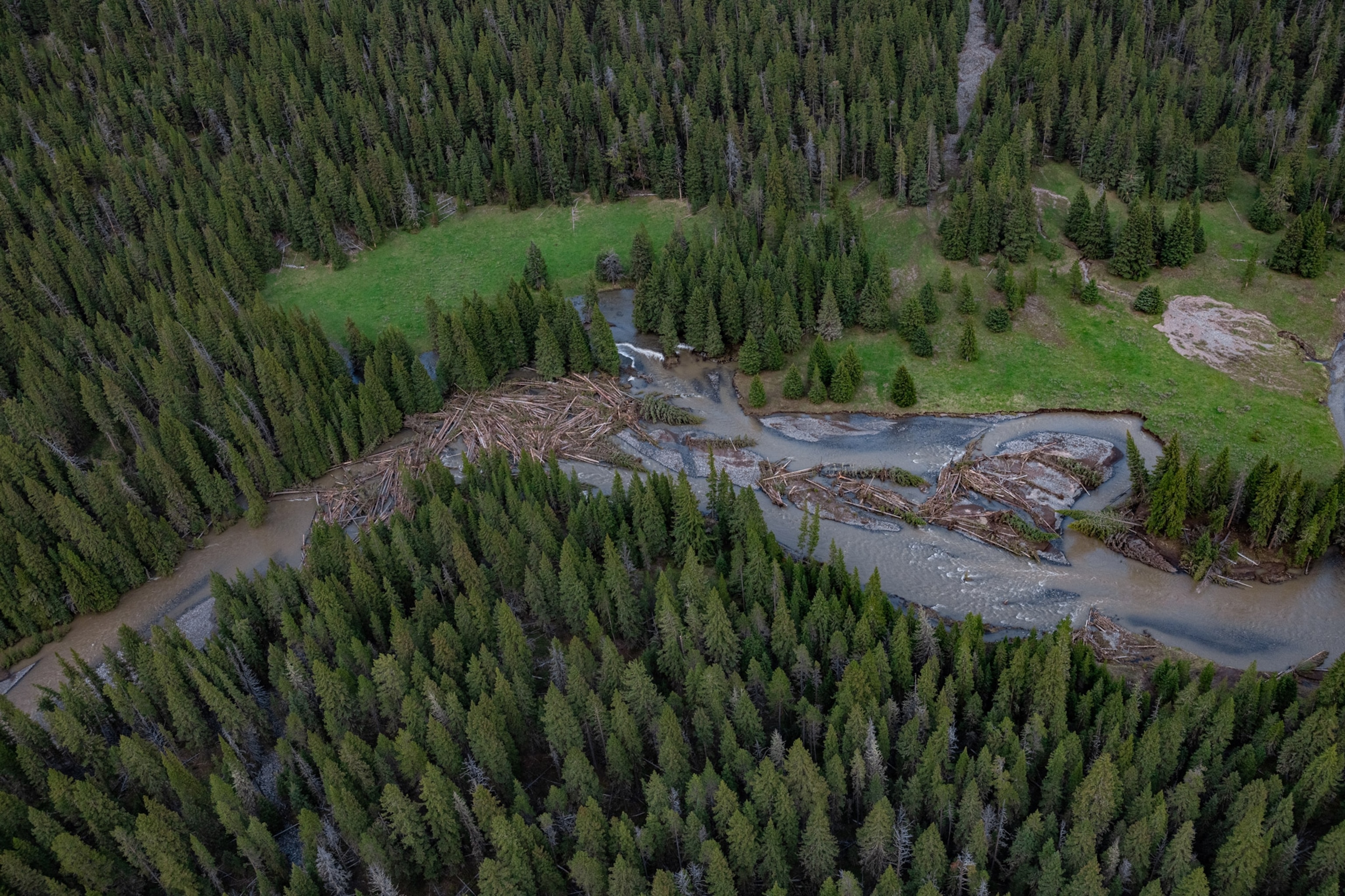 Historic Yellowstone flooding brings renewal despite destruction