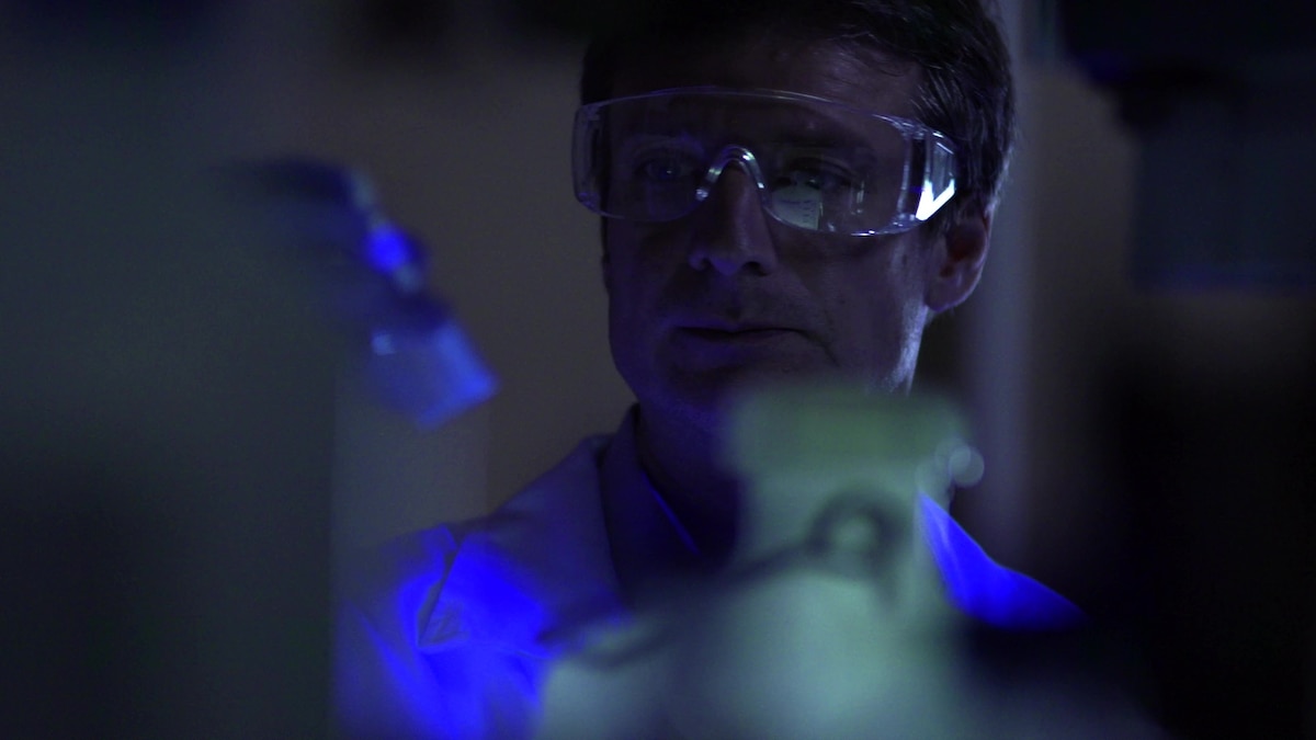 The Making of a Medicine: What does it take to find the next big cure ...