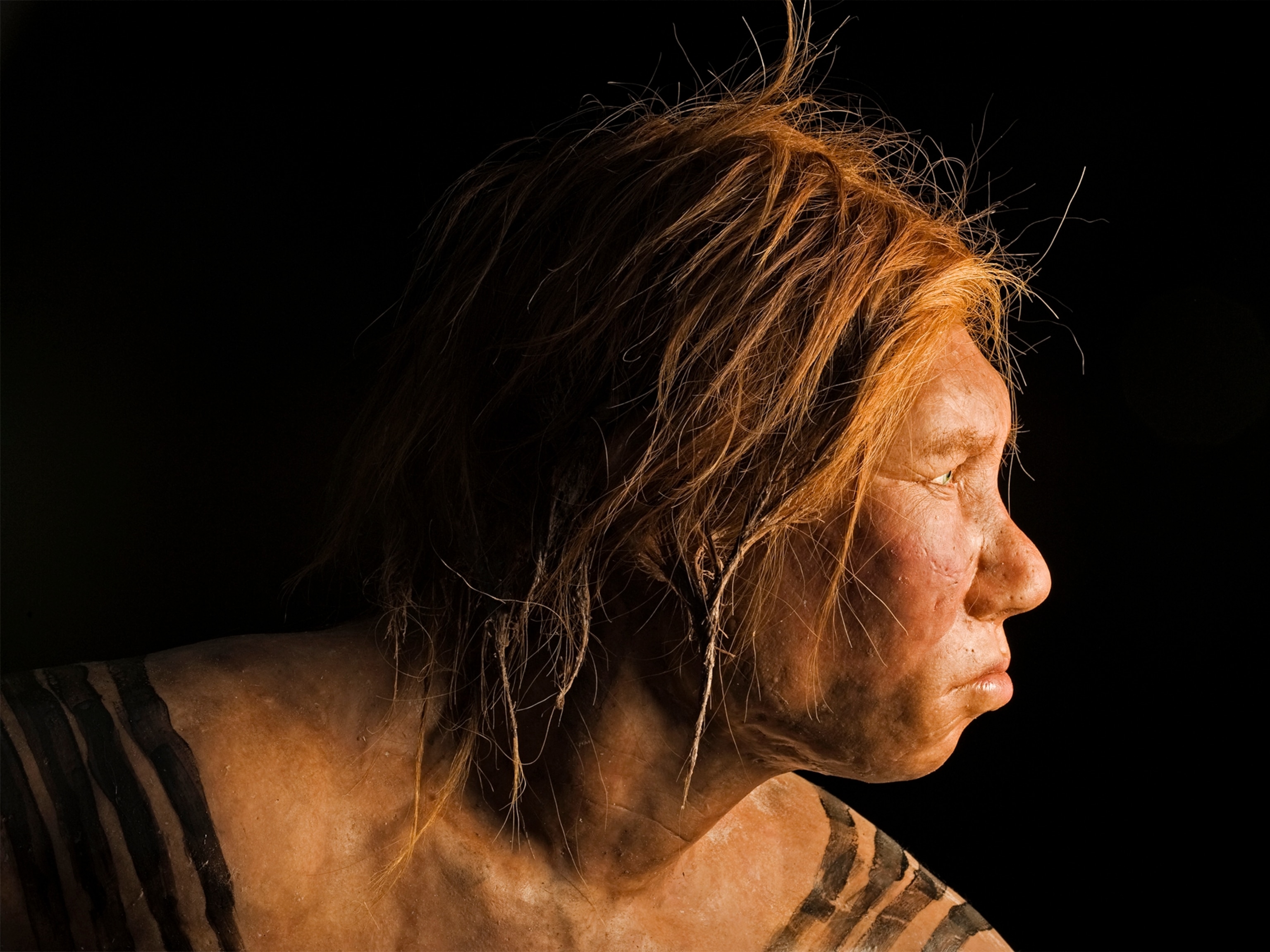 Gap Between Neanderthals and Us Narrows, But Does Not Close