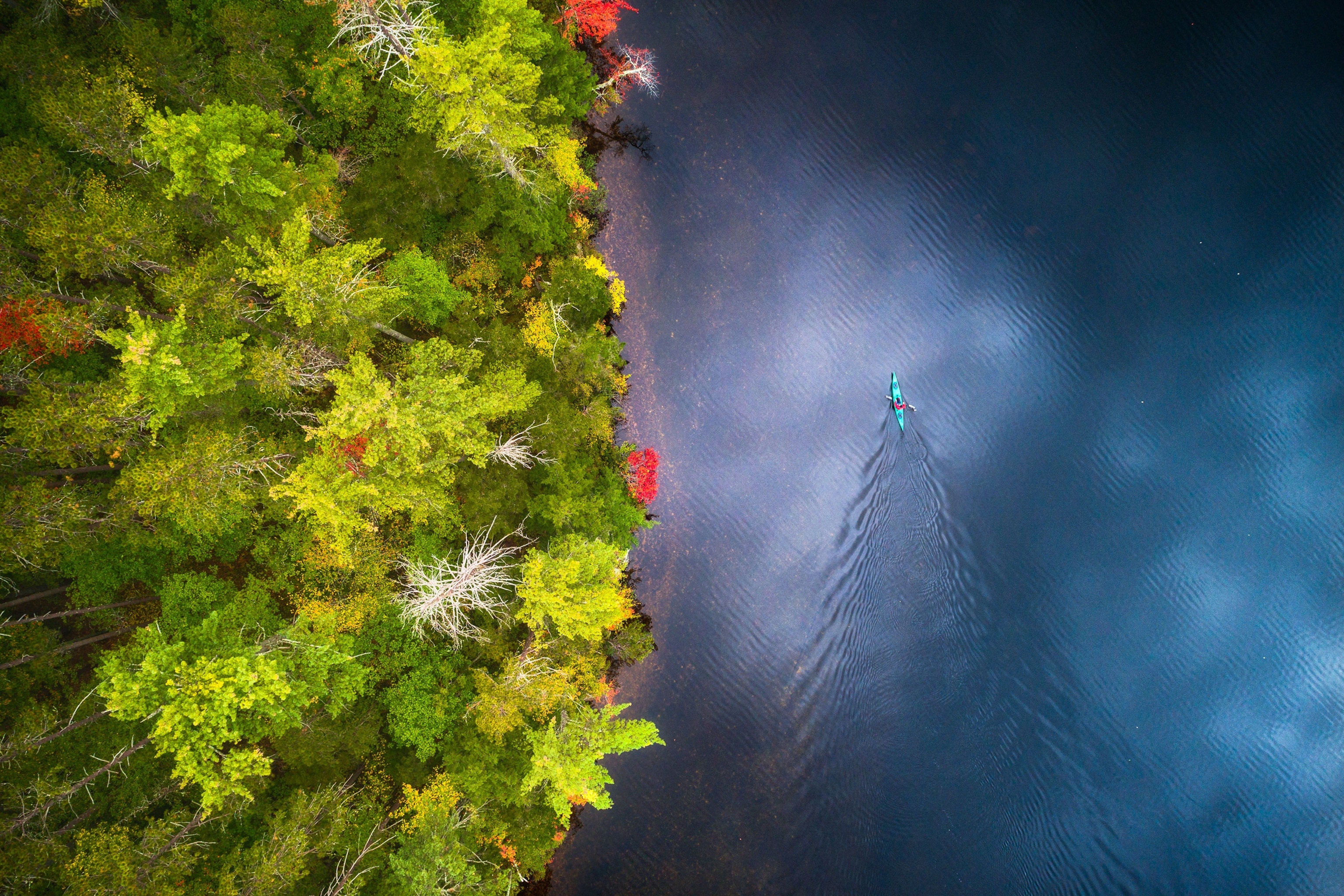 These are the 7 best fall festivals in the United States