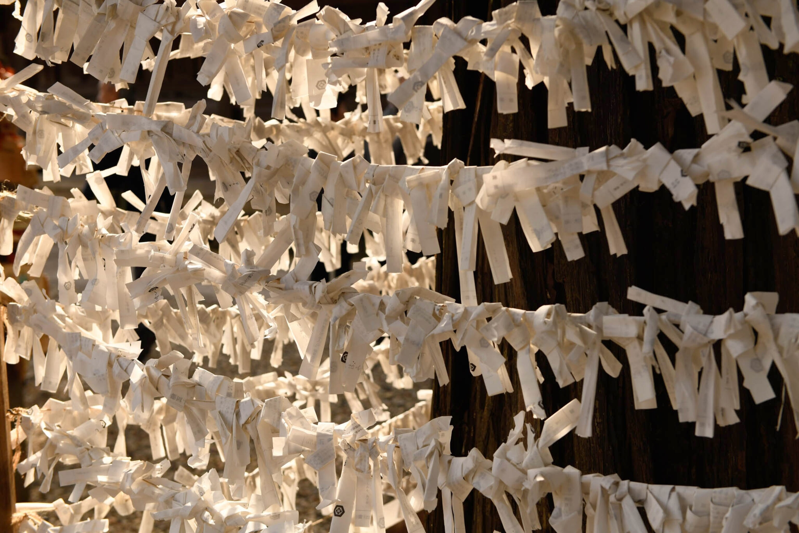 Shimane Prefecture: Japan's Best Kept Secret