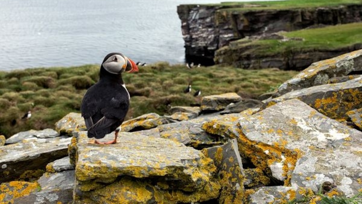 Places to See Wildlife -- National Geographic | National Geographic