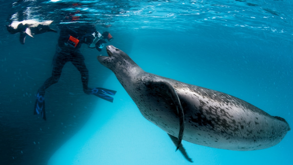 Meet National Geographic 2018 Adventurers of the Year Wildlife ...