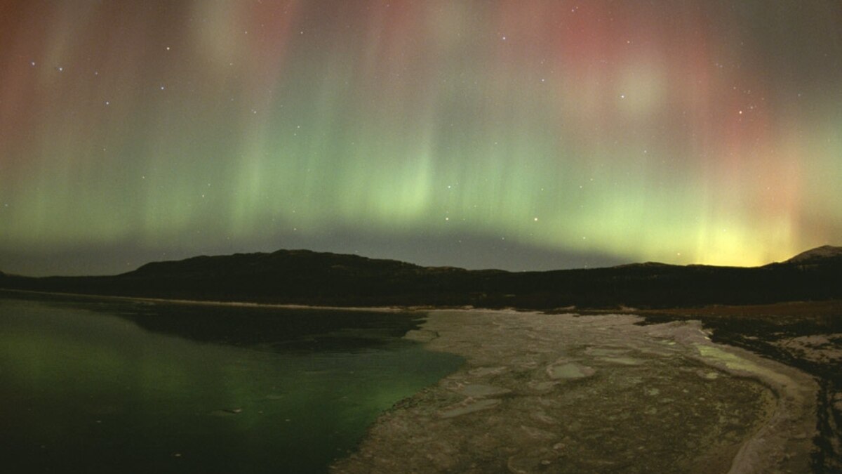 Polar Obsession Photos, Arctic Pictures, Animals and Landscapes ...