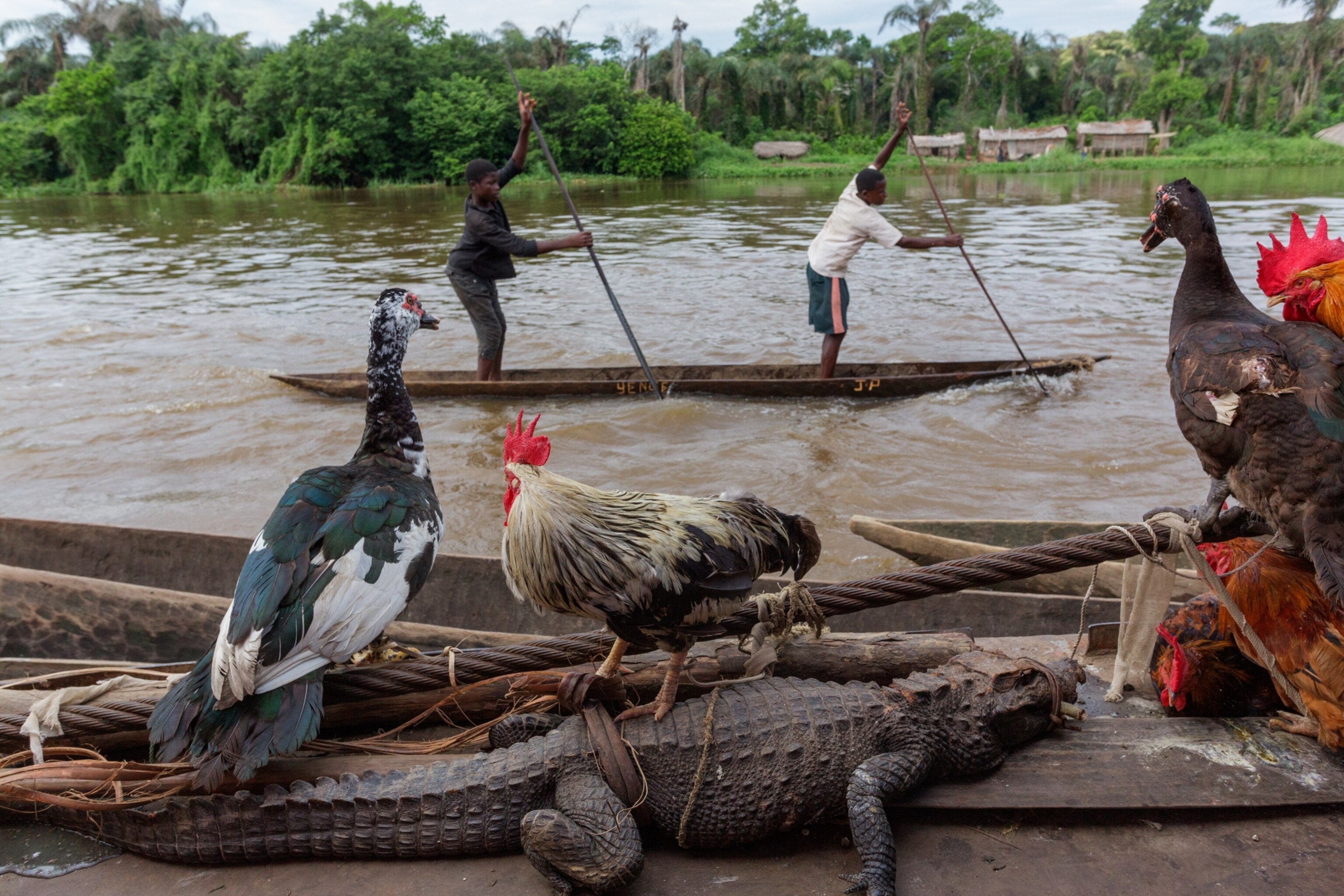 The Main Road Through the Heart of Africa Is the Congo River—For Those ...
