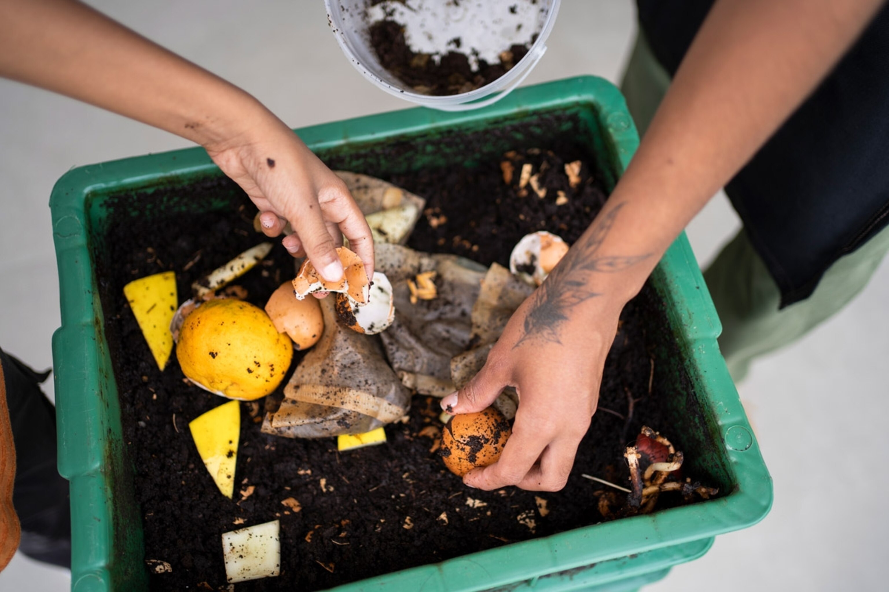 Your guide to composting with kids