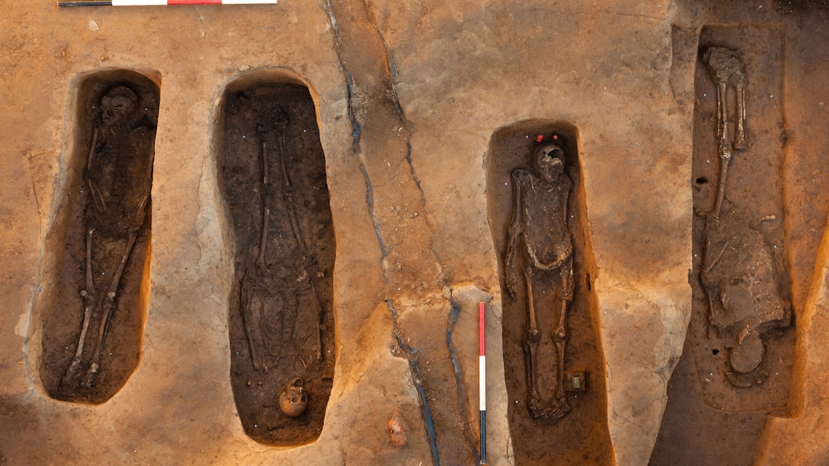 When Is It Okay To Dig Up The Dead? | National Geographic