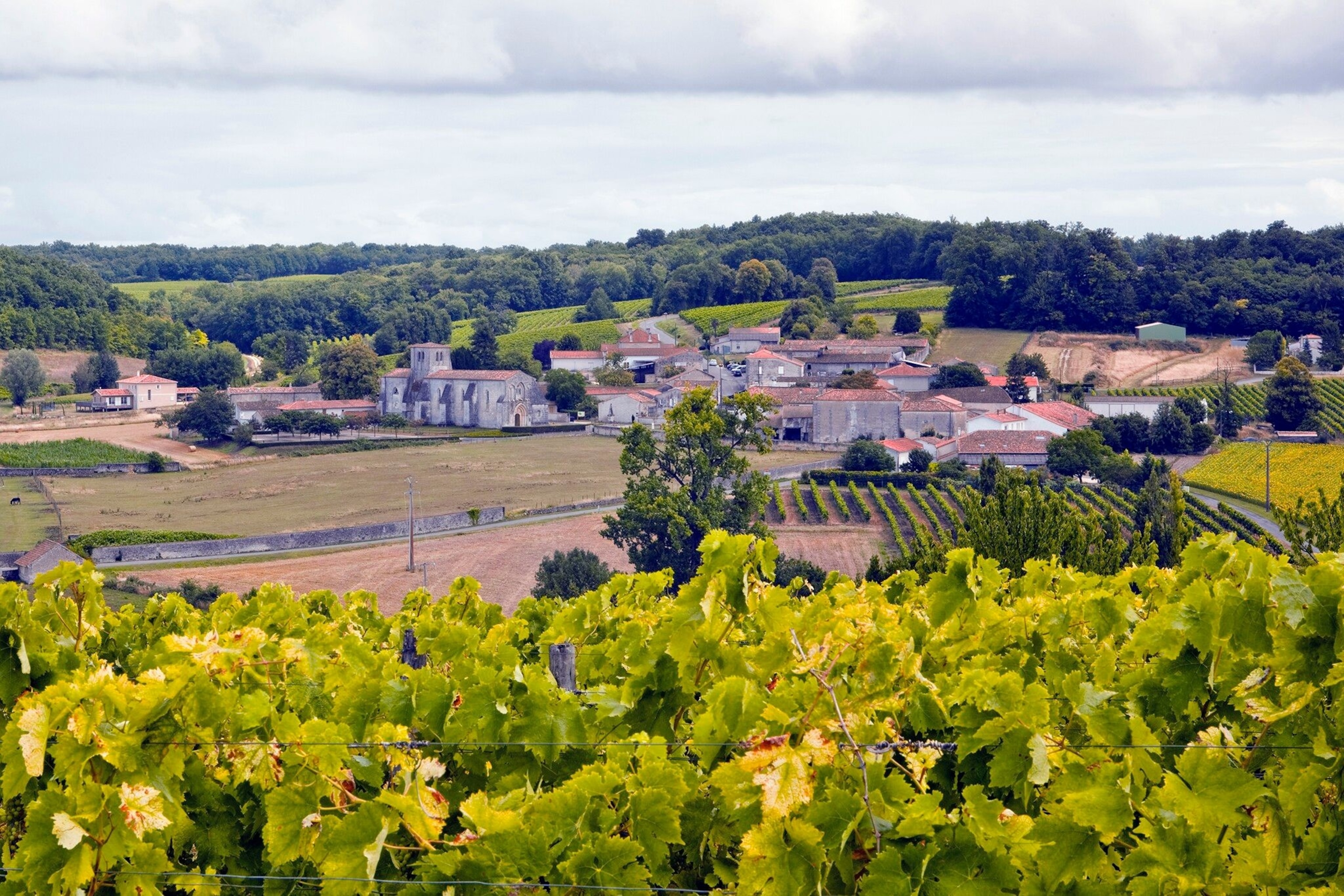 Five experiences for food lovers in Cognac, France | National Geographic