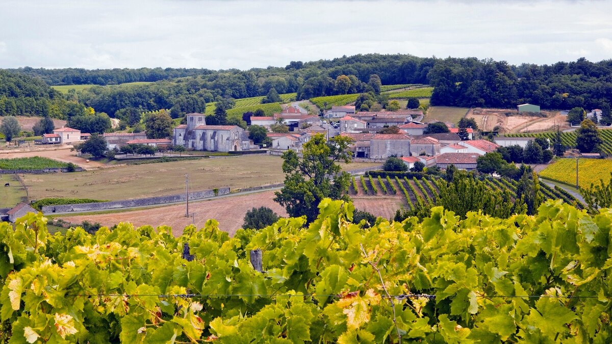 Five experiences for food lovers in Cognac, France | National Geographic