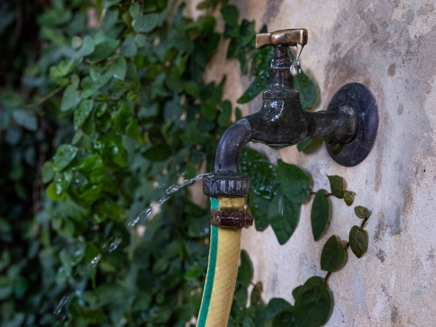 Water Issues In Rome Italy When Rome's Fountains Run Dry Bulletin Of