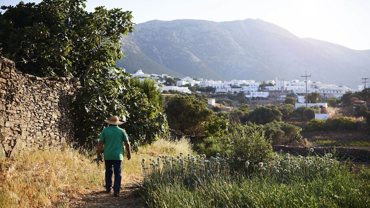 Exploring the flavours of Sifnos, Greece's gourmet island | National ...