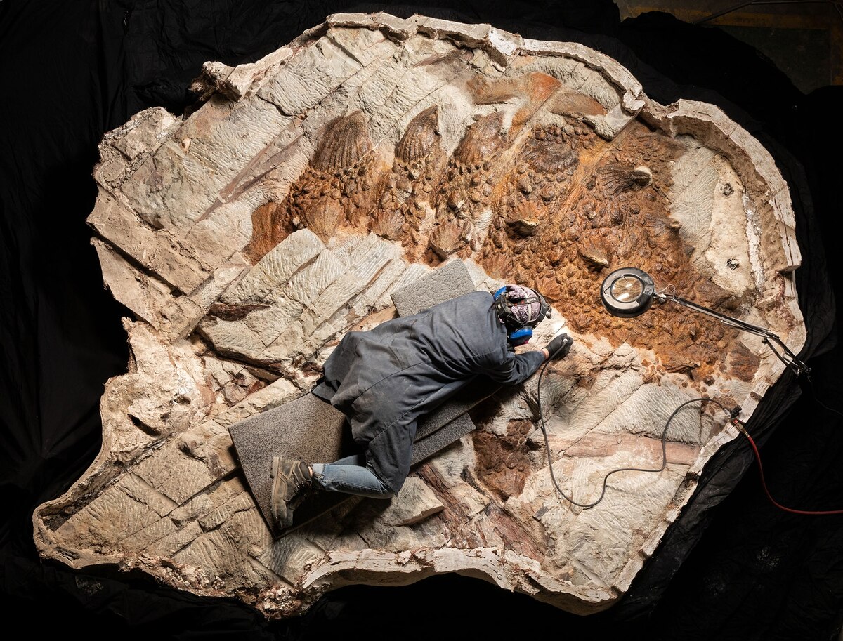 Meet Zuul, the new dinosaur known as the “destroyer of shins”