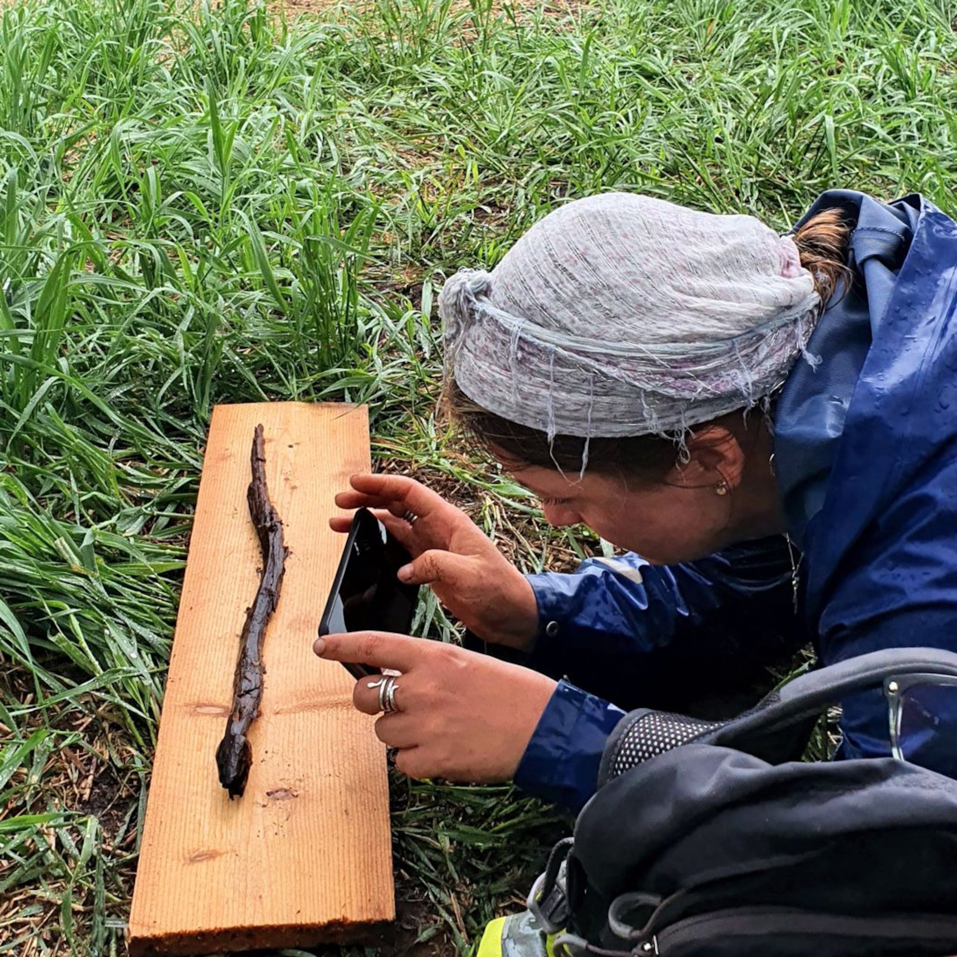 Sinuous Stone-Age snake sculpture unearthed in Finland